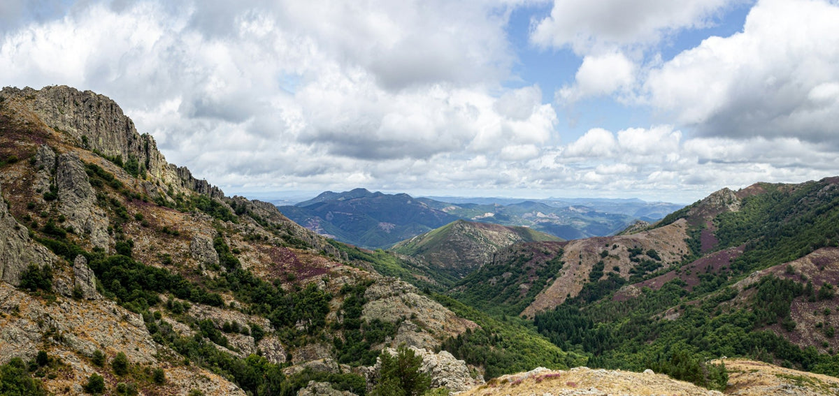 Minervois: The Hidden Gem of Southern France's Languedoc Region ...